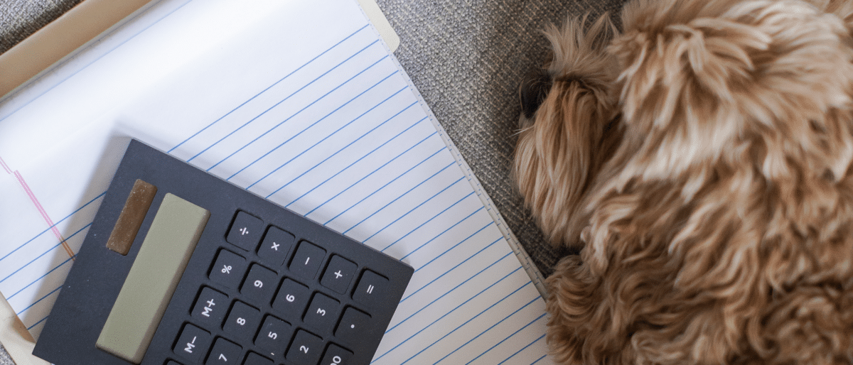 IRS CP261 Notice: Your S-Corp Approval Letter Explained