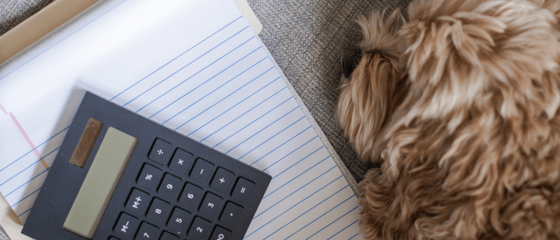 IRS Code 806 on Your Transcript: Refund Credit Explained